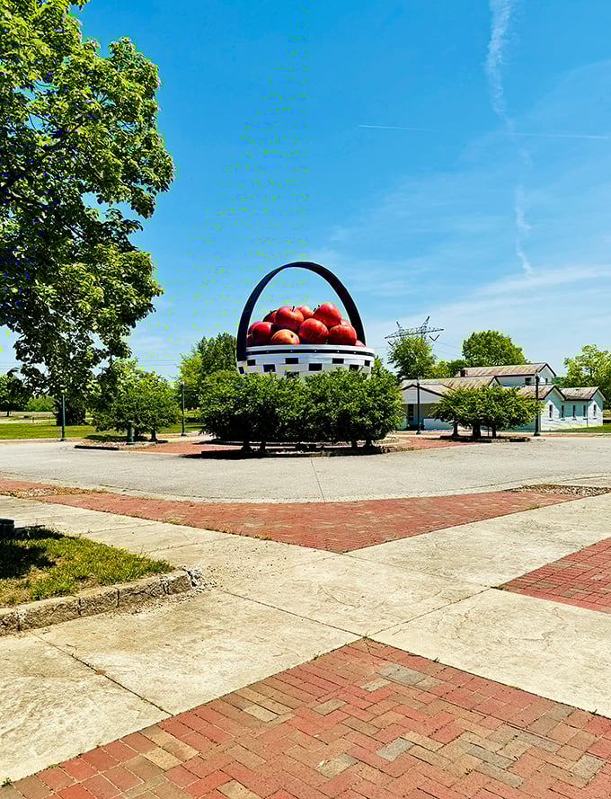From this angle, you can almost hear the basket whispering, "Yes, I'm really this big. No, those aren't tiny trees."