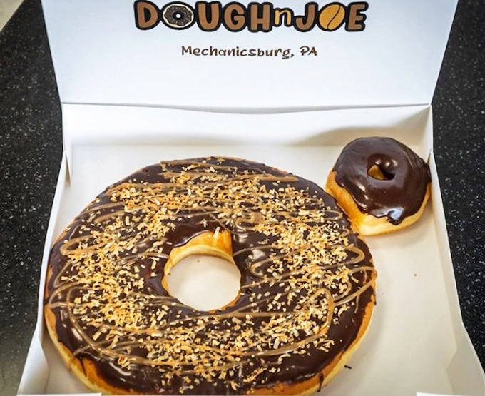 Behold the mothership—a chocolate-glazed behemoth that makes regular donuts look like cheerios. That little one? Just there for scale and moral support.