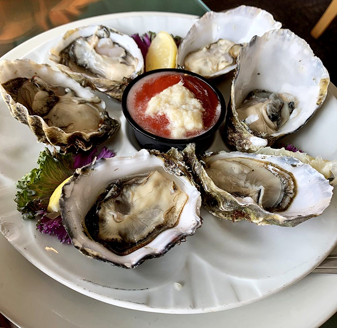 These oysters aren't just served; they're showcased&mdash;plump, briny jewels arranged like a pearl necklace around that tangy cocktail sauce. Ocean perfection on a plate.