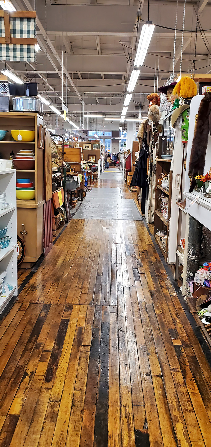 The wooden floors have carried countless treasure hunters before you, creaking like they're whispering secrets about what lies ahead.