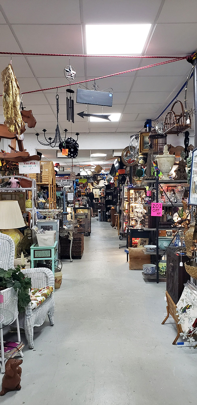 Organized chaos at its finest! Aisles become time tunnels where vintage chandeliers hang like stalactites in this cave of wonders.