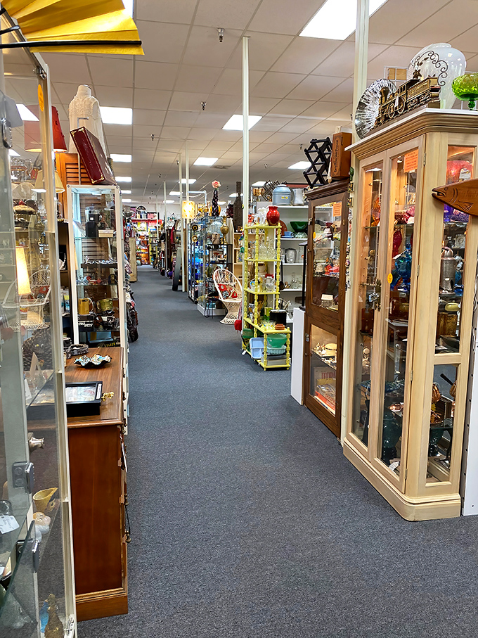 Display cases stand like sentinels guarding precious artifacts. Each booth is its own mini-museum curated by someone who probably has fascinating stories to tell. 