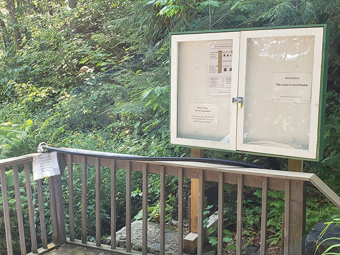 Nature's bulletin board &ndash; even in the wilderness, Harrisville keeps you informed. The forest has WiFi, but you'll find better connections without it.