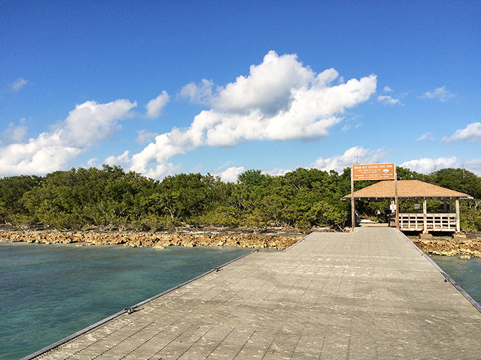 A weathered pier stretches into aquamarine waters at Indian Key, where history and natural beauty merge like old friends catching up.