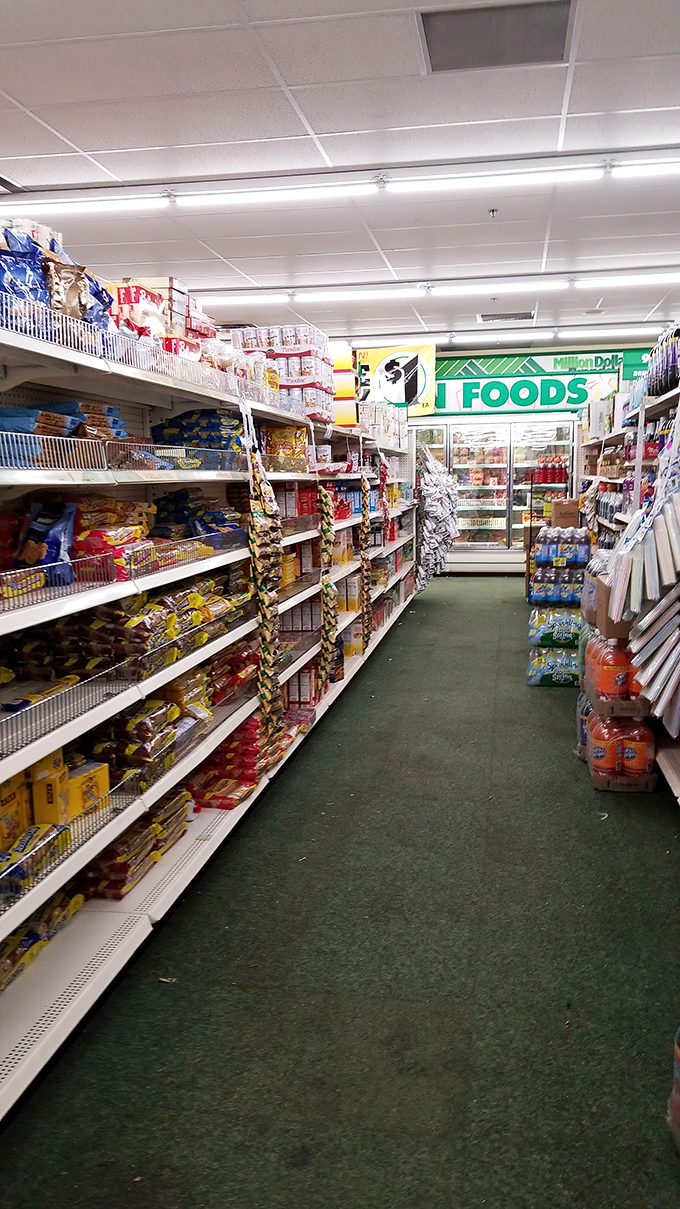 The promised land of packaged snacks stretches before you, a carbohydrate cathedral where wallet-friendly munchies await discovery.