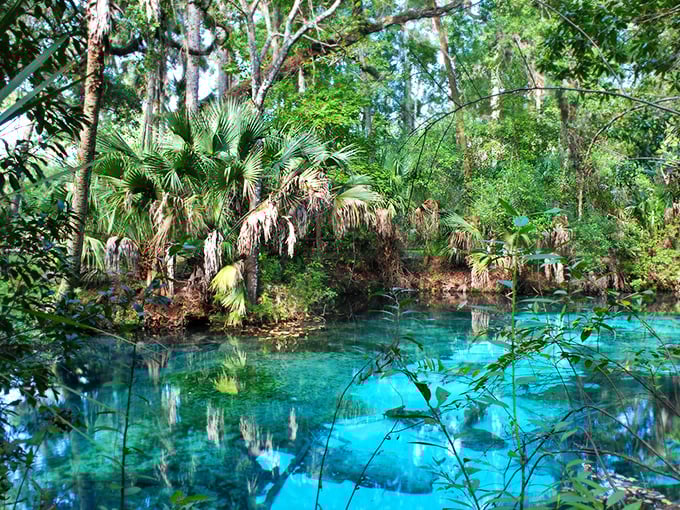 Liquid sapphire nestled in a palm cathedral. This isn't Photoshop&mdash;it's just Florida showing off what billions of years of geology can create.