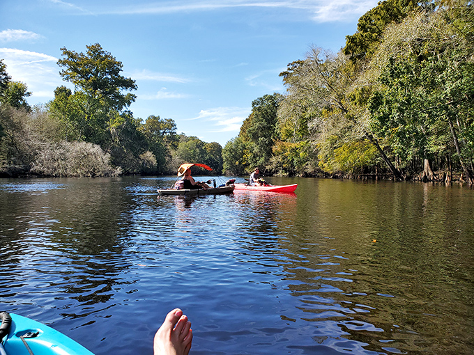 Paddle your troubles away on the Santa Fe River. Nothing says "I've escaped civilization" like floating past cypress trees with your toes dangling in cool water.