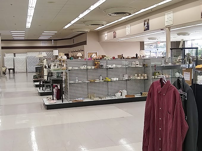 Gleaming dishware and vintage lamps create an elegant display, proving secondhand doesn't mean second-rate in this treasure trove of homewares.