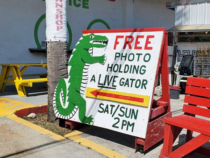 Only in Florida would "free alligator photo op" be considered a casual weekend attraction. The sign promises exactly the kind of Florida experience tourists crave.