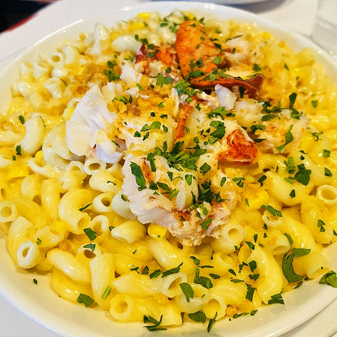 This isn't just mac and cheese; it's a golden throne for lobster royalty, where each bite delivers on promises your taste buds didn't know to make.