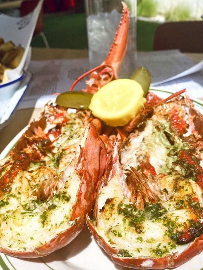 Split lobster that looks like it's posing for its seafood glamour shot. That herb butter situation would make even the most composed New Englander weep with joy.
