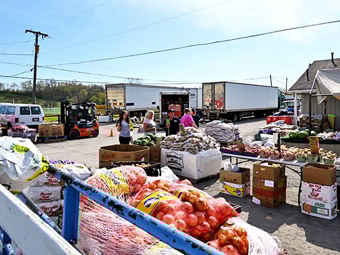 Farm-fresh abundance that puts supermarkets to shame. These vibrant fruits and vegetables traveled miles, not continents, to reach your shopping bag.