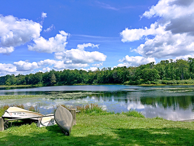 Summer serenity captured in one frame. The kind of view that makes you wonder why you ever complained about your morning commute.