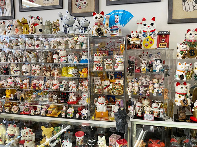 This meticulously organized display showcases hundreds of variations on the classic beckoning cat, from traditional white to eye-popping neon designs.