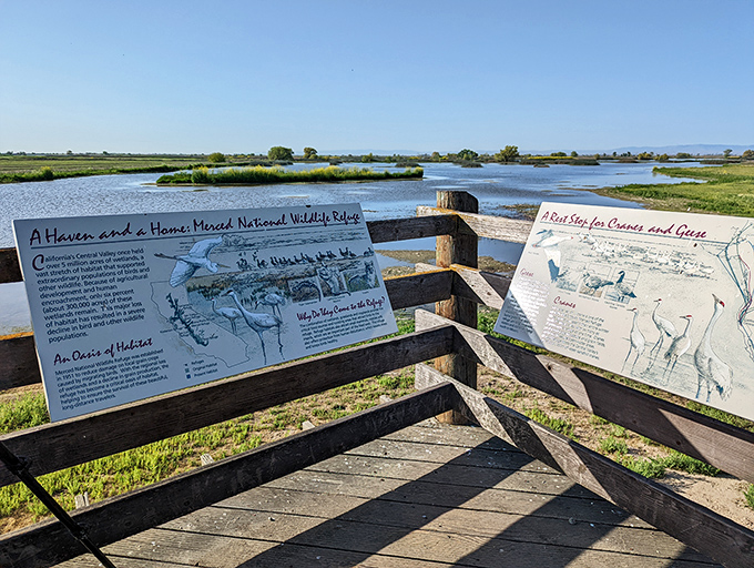 Nature doesn't charge admission at Merced National Wildlife Refuge, where birds gather like they're attending the world's most peaceful convention.