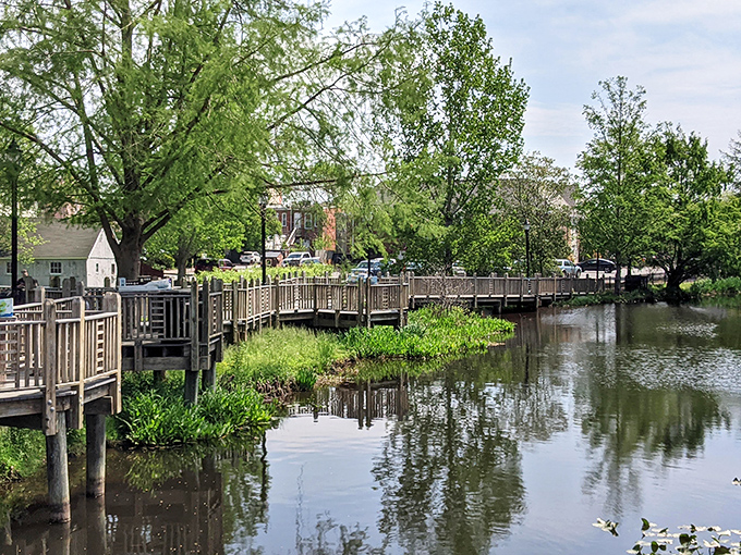 The Mispillion River curves gently through town, a liquid main street that once carried ships and now carries kayakers and daydreams.