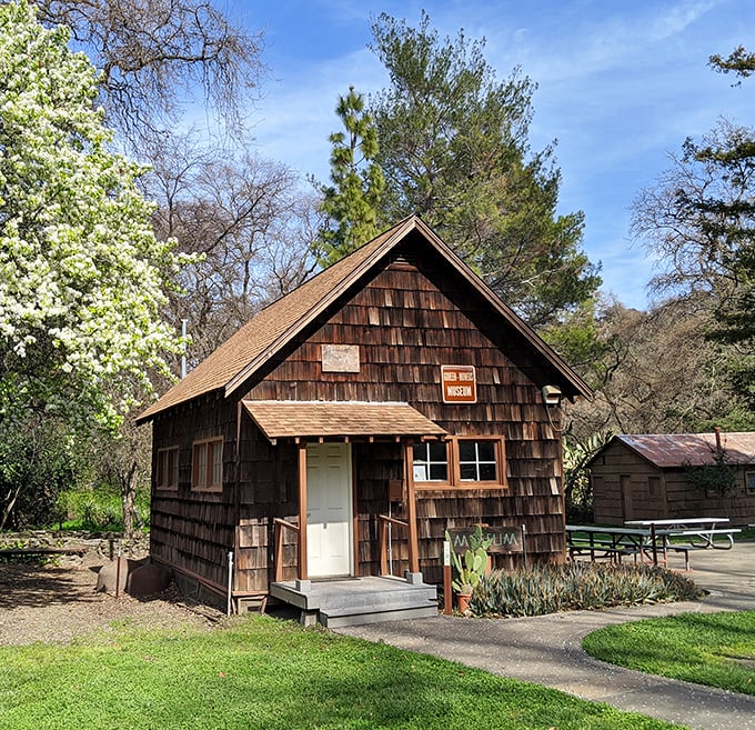 This rustic cabin at Pena Adobe Park isn't just preserved history&mdash;it's a reminder of California before tech bros and traffic jams.