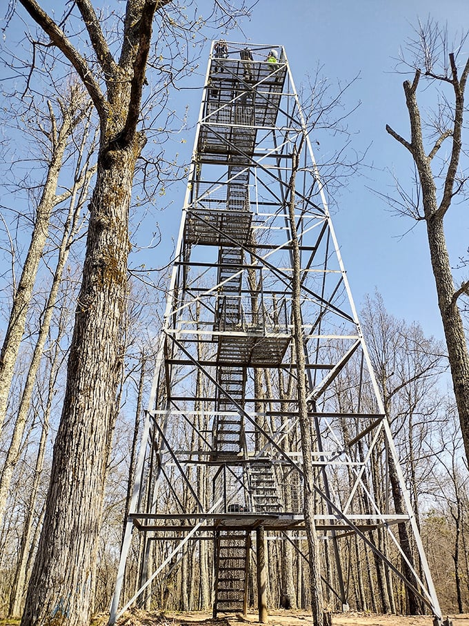 The observation tower reaches skyward like a metal Jenga game for giants. Your reward for climbing all those stairs? Views that make your smartphone camera seem woefully inadequate.
