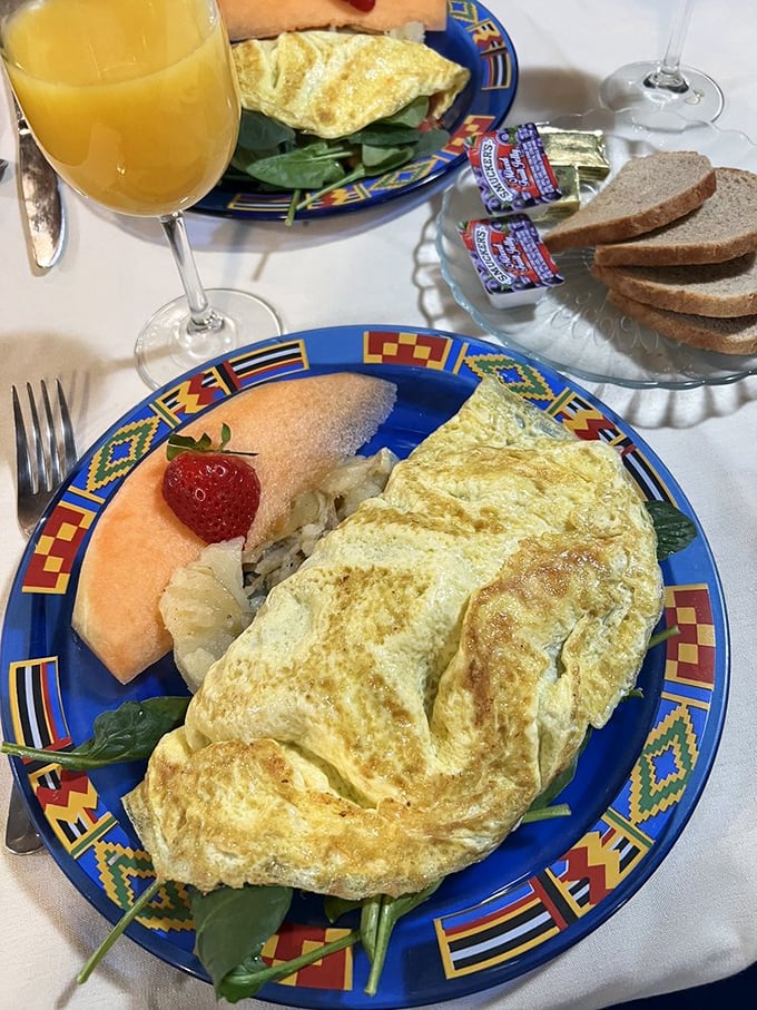 Morning masterpiece! This fluffy omelet shares the plate with fresh fruit and greens, proving train food has come a long way since dining cars first rolled.