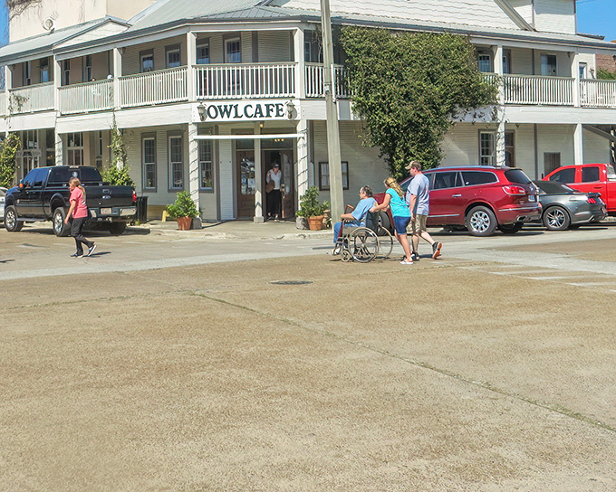 The Owl Cafe stands as downtown's cornerstone, where hungry visitors discover why Apalachicola oysters have earned their legendary status among seafood aficionados.