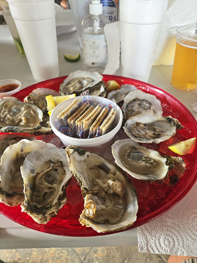 These oysters aren't just served&mdash;they're presented like briny jewels on a crimson platter, each one a perfect taste of the Gulf's bounty.