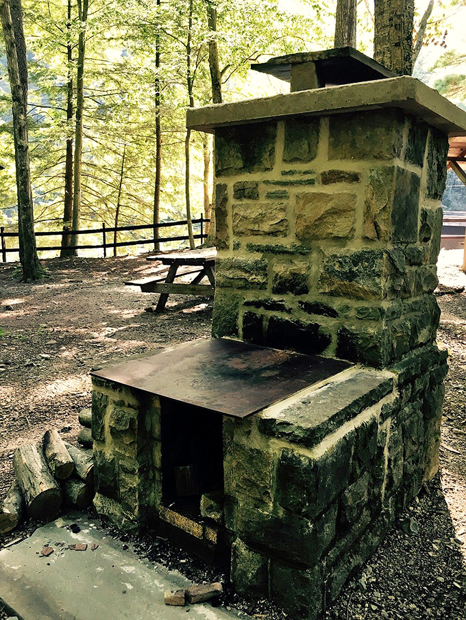 This rustic stone fireplace has witnessed more s'mores victories and defeats than a campground confessional. Perfect for cooking or contemplating life's mysteries.