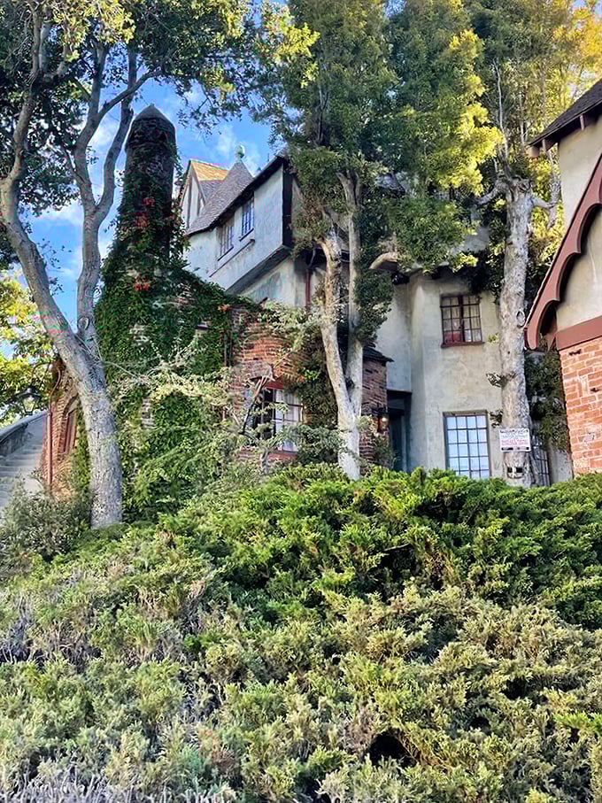 Nature and architecture dance together here, proving that ivy makes everything look more distinguished.