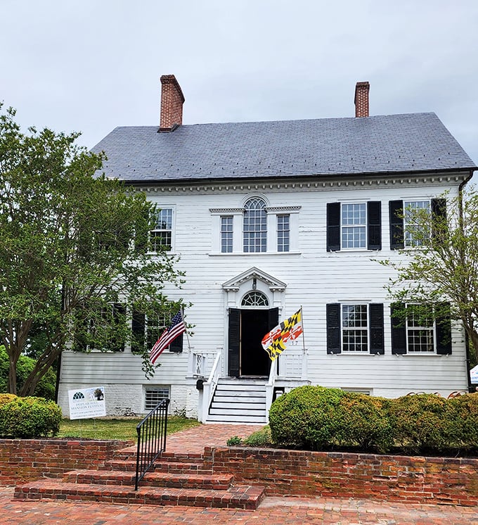 The stately Poplar Hill Mansion whispers stories of Maryland's past. This historic home offers a glimpse into Eastern Shore heritage without the admission prices of bigger cities.