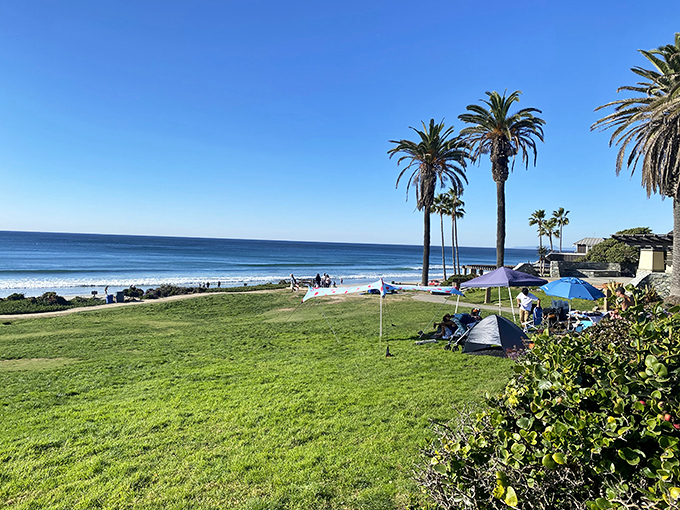 Powerhouse Park offers that perfect blend of grass and ocean&mdash;like having Central Park and Malibu in one convenient location.