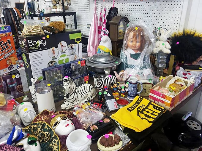 A chaotic symphony of knickknacks that somehow makes perfect sense—from creepy dolls to zebra figurines, it's organized chaos at its finest.