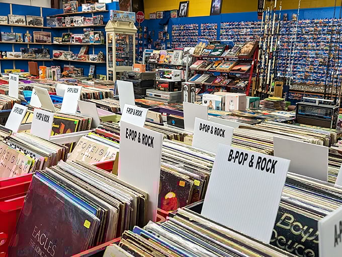 Vinyl paradise! Where music lovers can flip through history one album at a time, organized by genres that transport you back to simpler times.