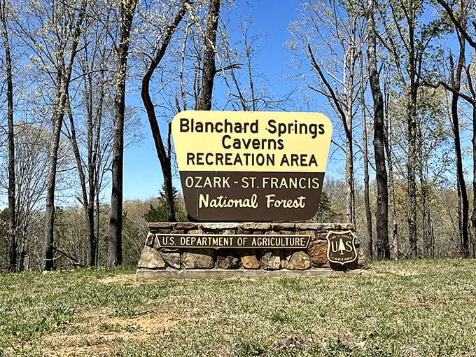 The official welcome mat to one of Arkansas's hidden treasures. The Ozark-St. Francis National Forest: where above-ground beauty is just the appetizer.