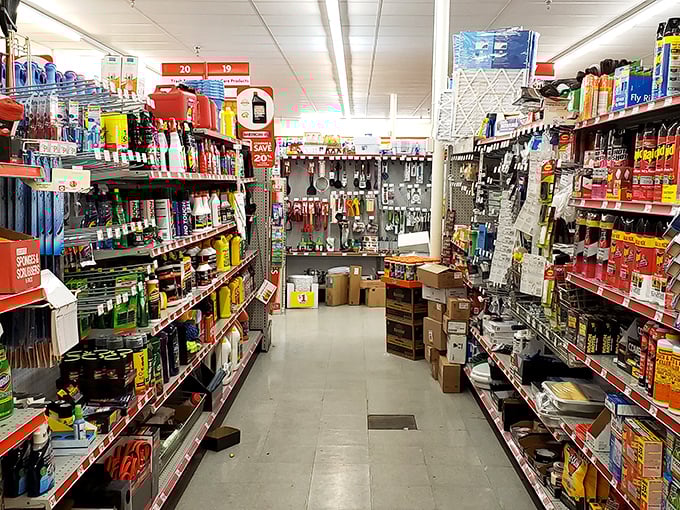 The household essentials aisle &ndash; where cleaning products stand ready to battle whatever mess your family has ingeniously created this week.