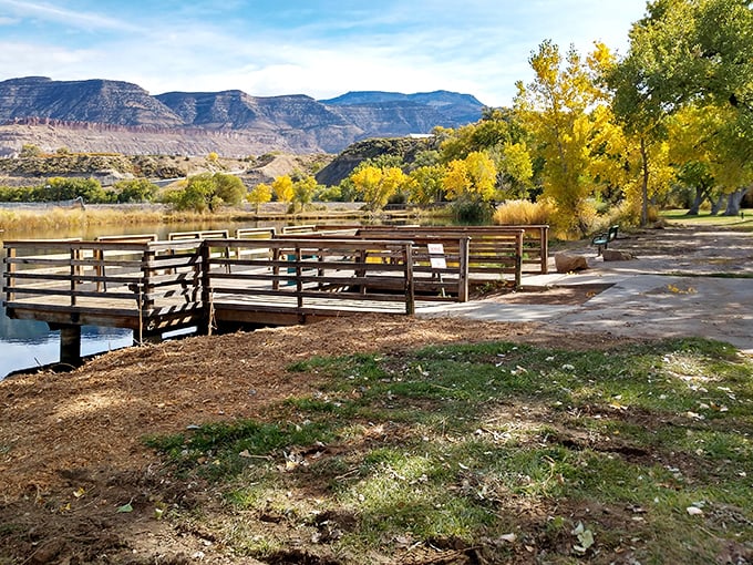 Autumn transforms Riverbend Park into a golden sanctuary where the Colorado River whispers stories to cottonwoods and fishing docks.