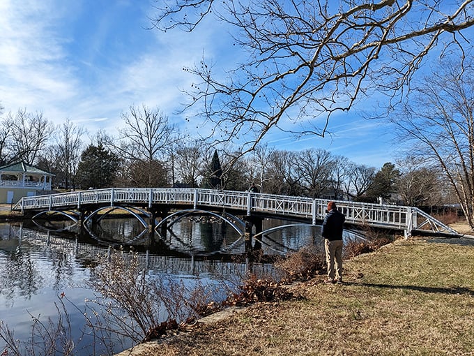 City Park's picturesque bridge invites contemplative strolls where the only traffic jam is deciding which bench offers the best view.