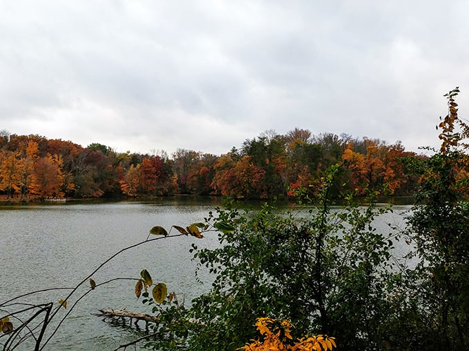 Fall foliage reflecting on Scales Lake creates nature's perfect mirror&mdash;no Instagram filter required to make this scene pop.