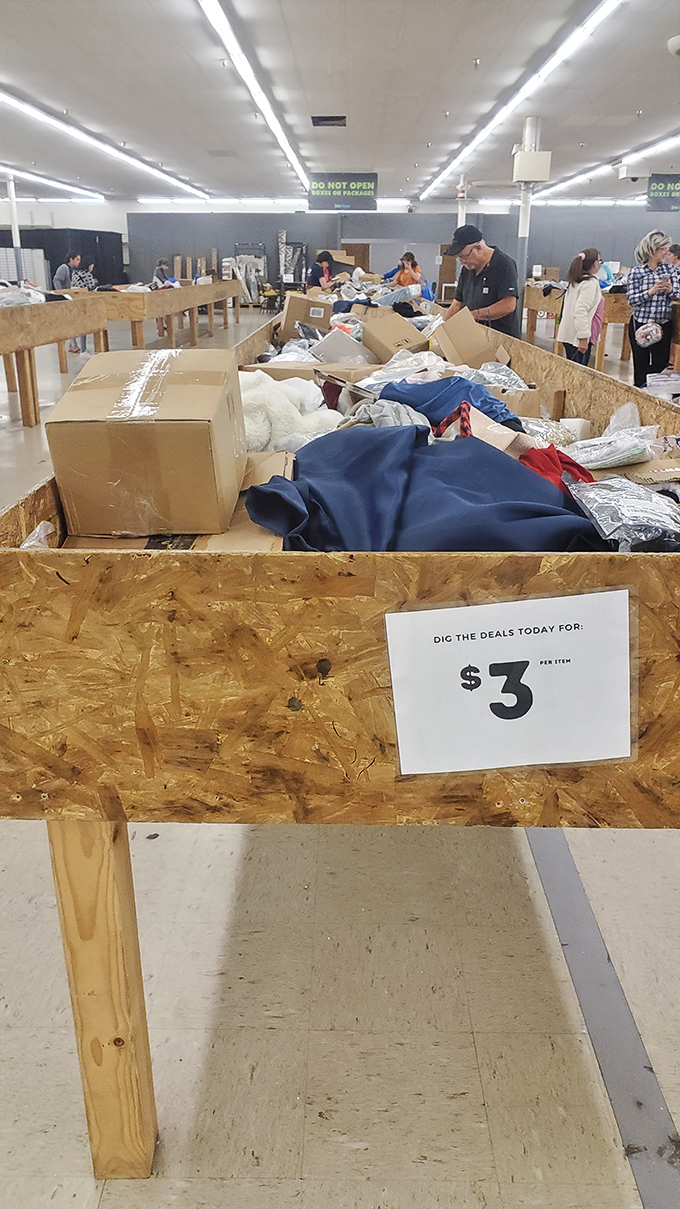 The $3 bin: where shoppers transform into archaeologists, carefully excavating through layers of potential treasures. The thrill of the hunt is palpable!