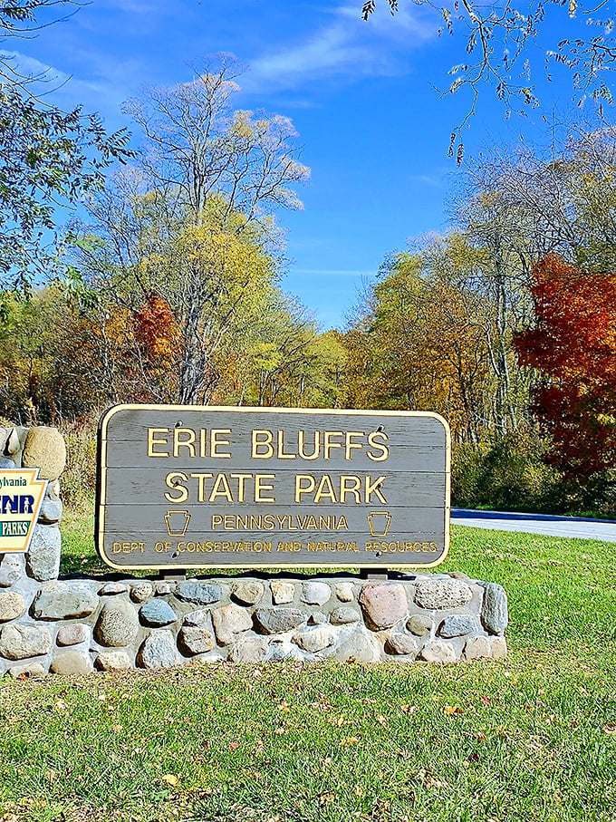 Welcome to Pennsylvania's best-kept secret. The park entrance sign stands proudly against autumn's fiery backdrop&mdash;nature's version of a red carpet.