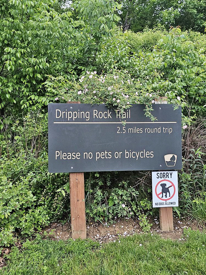 This trail marker doesn't just give directions&mdash;it's an invitation to discover what "dripping rock" actually means. Spoiler alert: it's wonderfully literal.