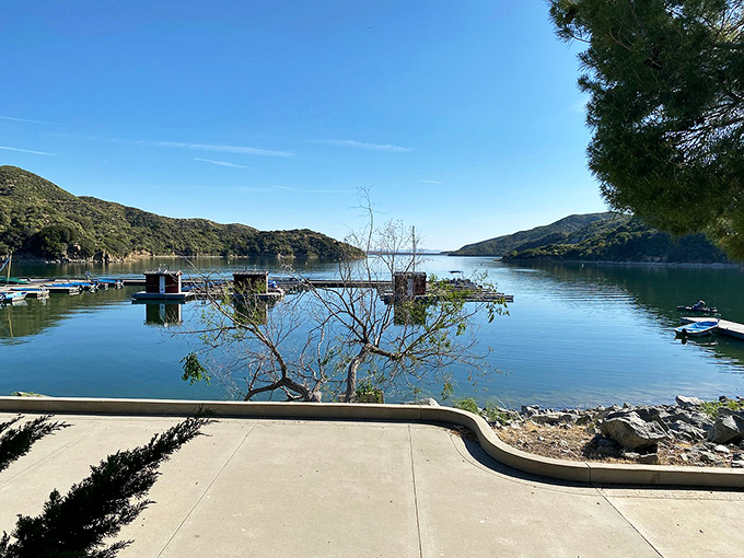 Mother Nature's swimming pool comes with mountain views that would cost millions on the coast but are free with your park admission.