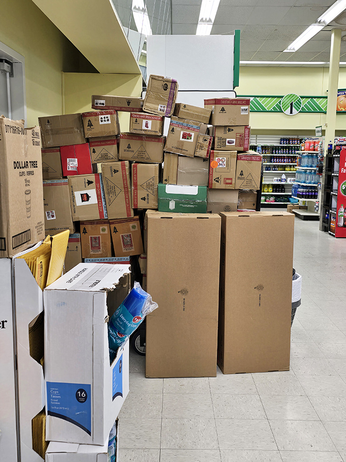 Behind every well-stocked shelf is an impressive inventory system—these boxes aren't clutter, they're treasures waiting for their moment to shine.