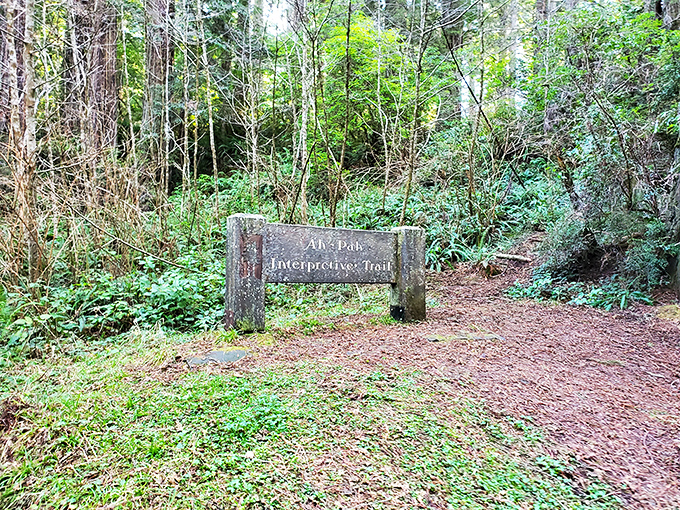 "This way to wonder" &ndash; trail markers in the park offer directions but can't prepare you for the magic waiting around each bend.