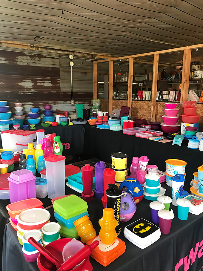 Tupperware heaven or plastic fantastic? This colorful collection of containers would make any leftover-saving enthusiast weak at the knees.