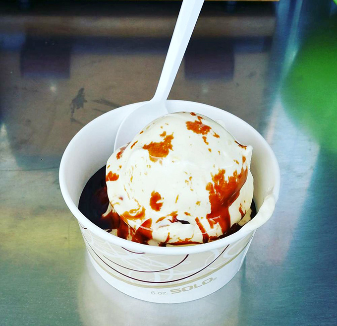 Hot fudge meeting cold vanilla custard creates that perfect temperature tango that makes your taste buds do the cha-cha. This is dessert physics at its finest.