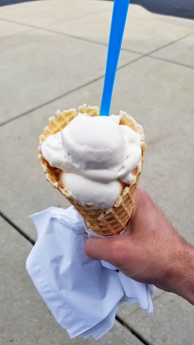 Vanilla custard so pure it makes ordinary ice cream look like it's having an identity crisis. Simplicity, perfected.