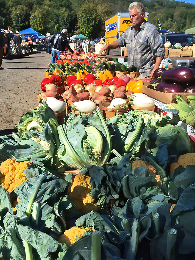 Farm-fresh produce adds vibrant splashes of color to the market. Nothing says "New England" quite like locally grown cauliflower in autumn.