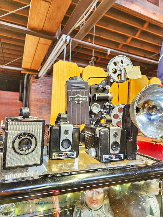 Vintage cameras that captured someone's wedding day or baby's first steps now wait for new adventures. That Keystone projector probably showed "I Love Lucy" episodes!