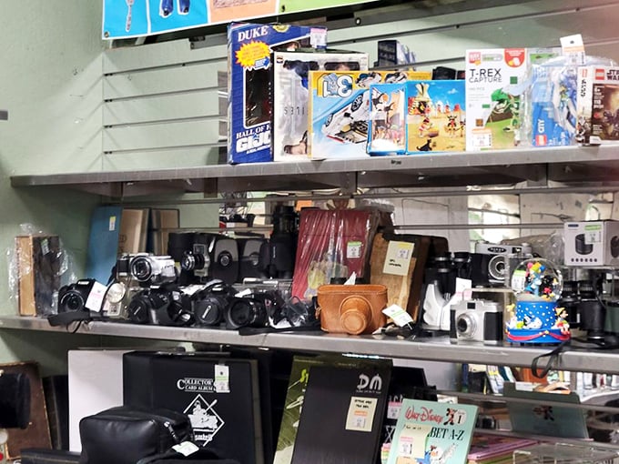Vintage cameras line up like eager photographers waiting to capture their next great comeback story. 