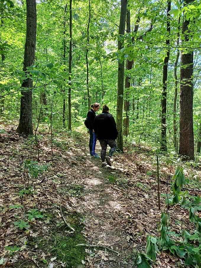 Hikers discover that the best conversations happen on forest trails, where cell phones are useless and actual talking makes a comeback.