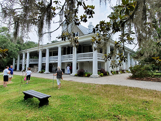 The historic plantation house stands elegant and stately, its white columns reaching skyward like the Southern architecture equivalent of perfect posture.